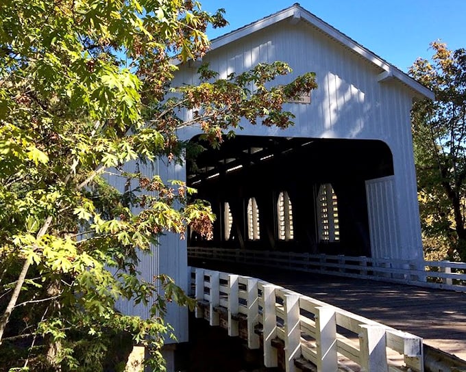 Framed by autumn leaves, the bridge offers a perfect composition that would make Ansel Adams reach for his camera with childlike excitement.