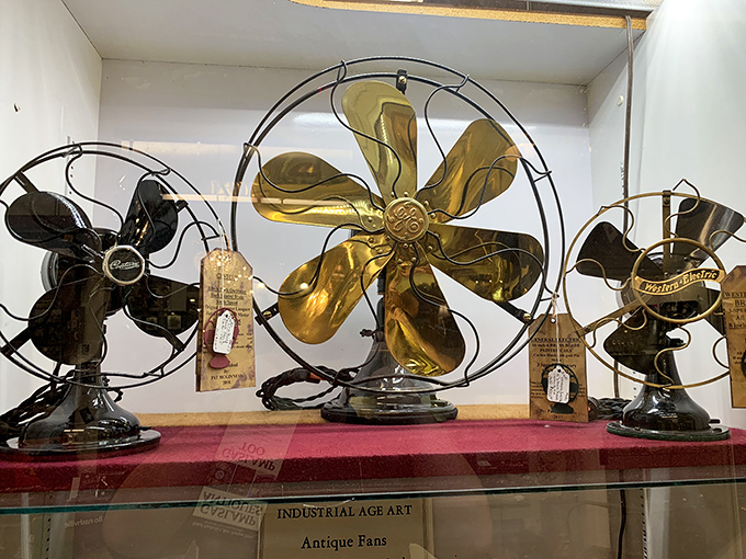 These vintage electric fans aren't just appliances; they're industrial sculpture. That brass beauty in the center could cool a room and impress guests simultaneously.