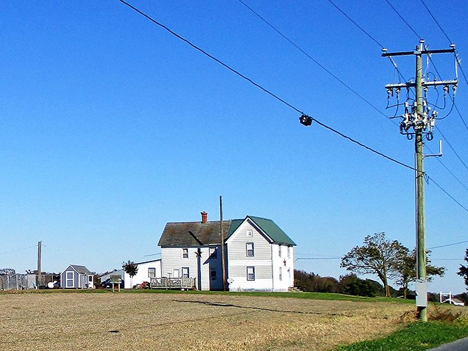 Rural charm surrounds Delmar, with farmhouses and open fields reminding visitors that not everything needs to be paved, developed, or overpriced.