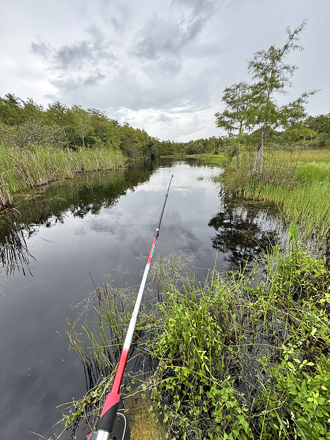 Fishing these dark waters requires patience and optimism, two qualities that seem to come naturally in this peaceful setting.