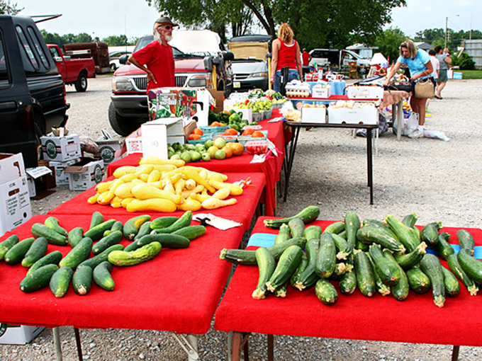 Garden-fresh goodness spreads across vibrant red tablecloths. These locally grown zucchini and squash traveled miles, not thousands, to reach your weekend table.