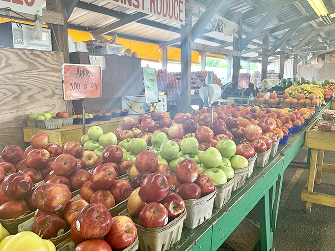 Apple heaven! These bushels of red and green beauties remind us why "an apple a day" became advice worth following.