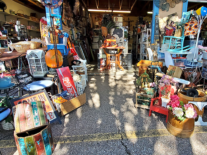 A sunlight-dappled wonderland of organized chaos where that perfect garden ornament, vintage sign, or mysterious musical instrument awaits its forever home.