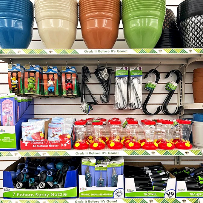 Garden supplies and outdoor essentials lined up like soldiers ready to help your yard look respectable again.