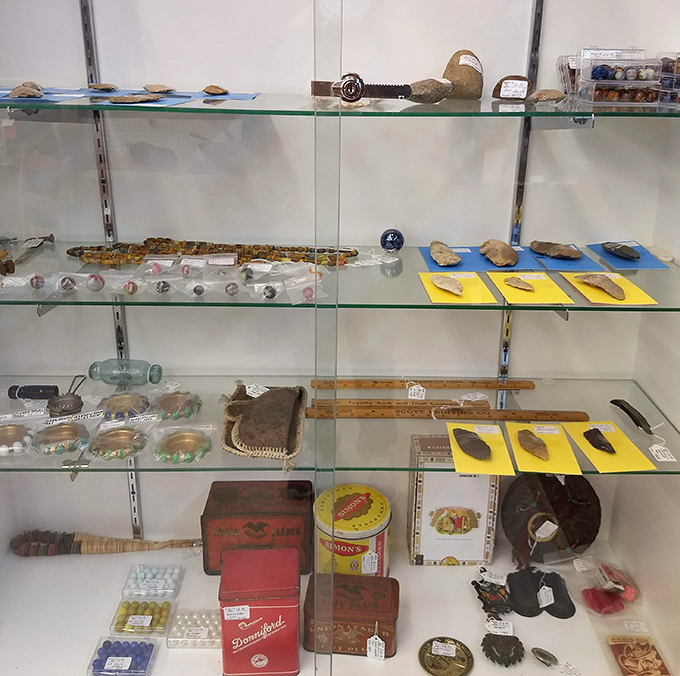 Glass cases protect arrowheads and geological specimens, reminders that collecting treasures is one of humanity's oldest hobbies.