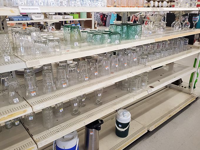 Glassware glistening on shelves, perfect for upgrading your kitchen without upgrading your credit card bill simultaneously.