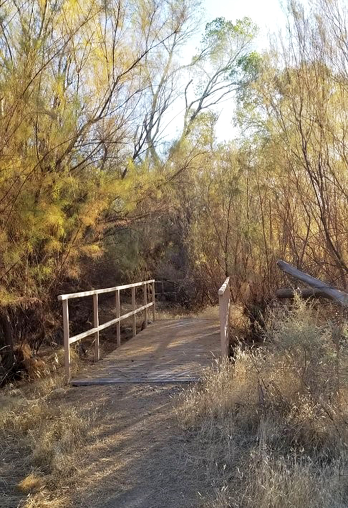 This humble wooden bridge leads to the archaeological village &ndash; crossing from present to past in just a few steps.