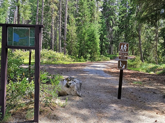 The trail beckons with promises of discovery. Lake Wenatchee's well-marked paths invite hikers of all abilities to venture just far enough from civilization to feel refreshingly wild.