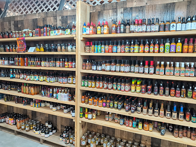 A wall of liquid courage for your taste buds, where "mild" is merely a suggestion and "hot" is a challenge.