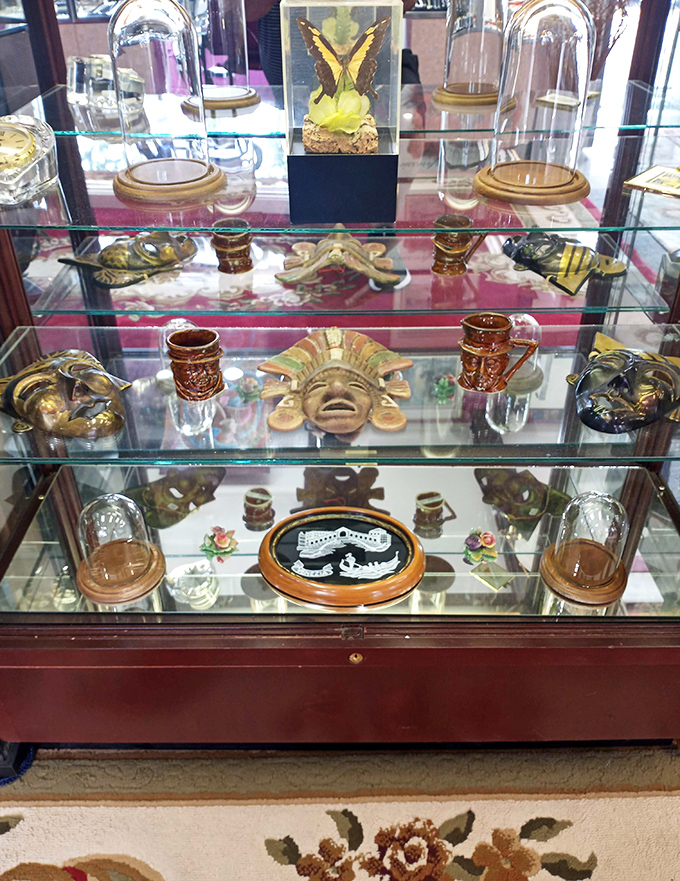 Glass cabinets protect treasures from around the world, including what appears to be ancient masks alongside delicate butterfly specimens.