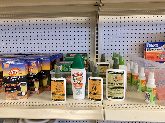 Even practical necessities get the thrift store treatment. Bug spray and ant traps might not be glamorous finds, but saving money on essentials is always in style.