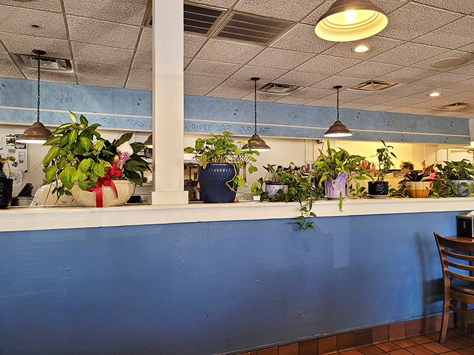 Plants thrive in the dining room &ndash; they're feeding off the positive energy and possibly some gravy particles.