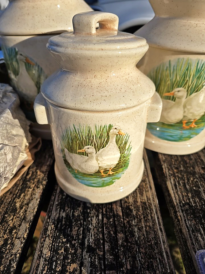 Farmhouse chic meets waterfowl appreciation. These duck-adorned canisters are exactly what your grandmother would call "too nice to actually use."