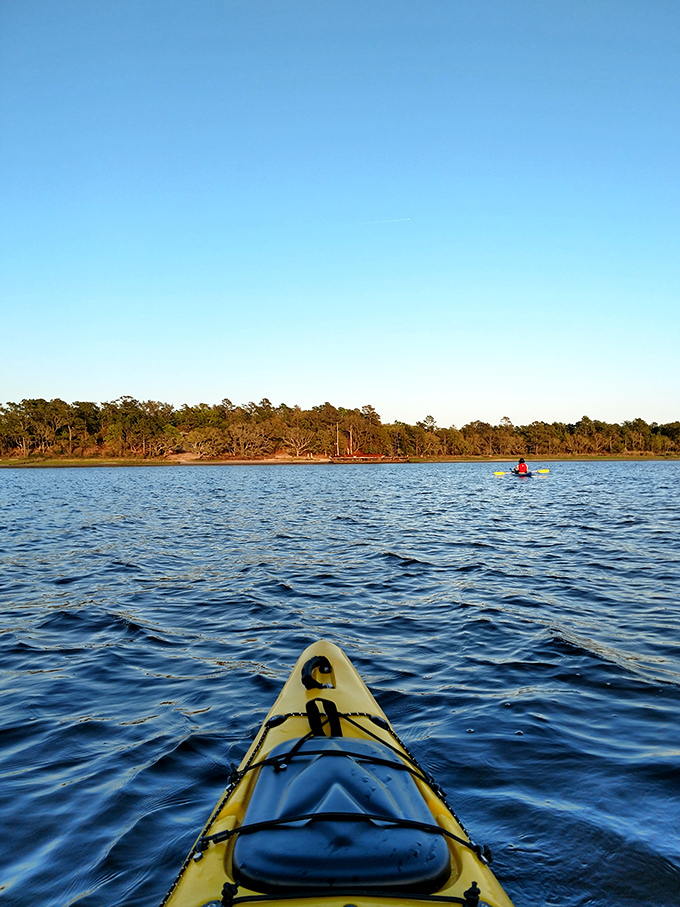 The best views of Carolina Beach State Park often come from water level. A kayak adventure offers perspectives impossible to find on foot.