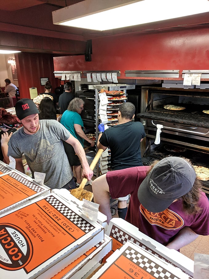 Behind-the-scenes magic where pizza dreams come true. The organized chaos of a kitchen that's been perfecting its craft for decades.