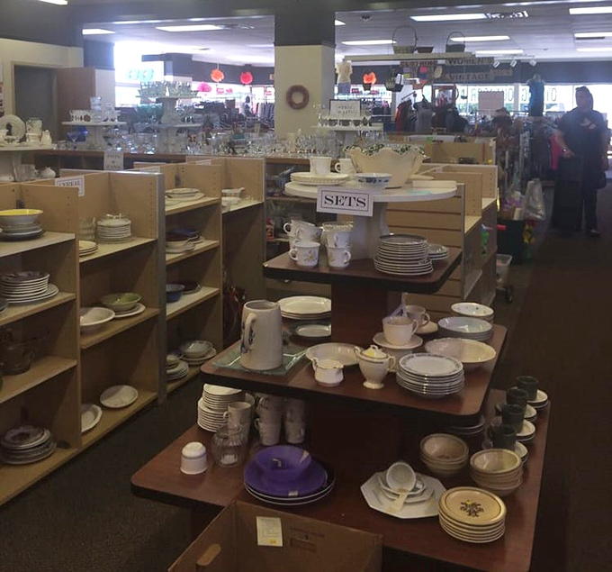 Dish paradise! These plates and bowls have served countless meals and are ready for an encore performance at your dinner table.