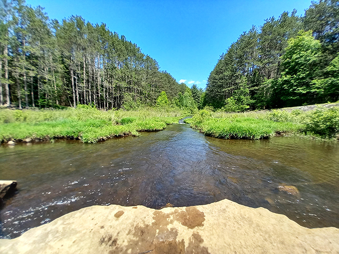 Clear waters, green banks, blue skies&mdash;nature's perfect color palette on display. This stream doesn't need an Instagram filter to look this good.