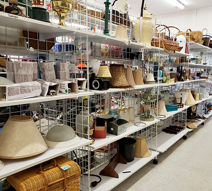 Lampshade paradise! One person's outdated fixture is another's "vintage find" that'll have guests asking, "Where did you get that amazing lamp?"