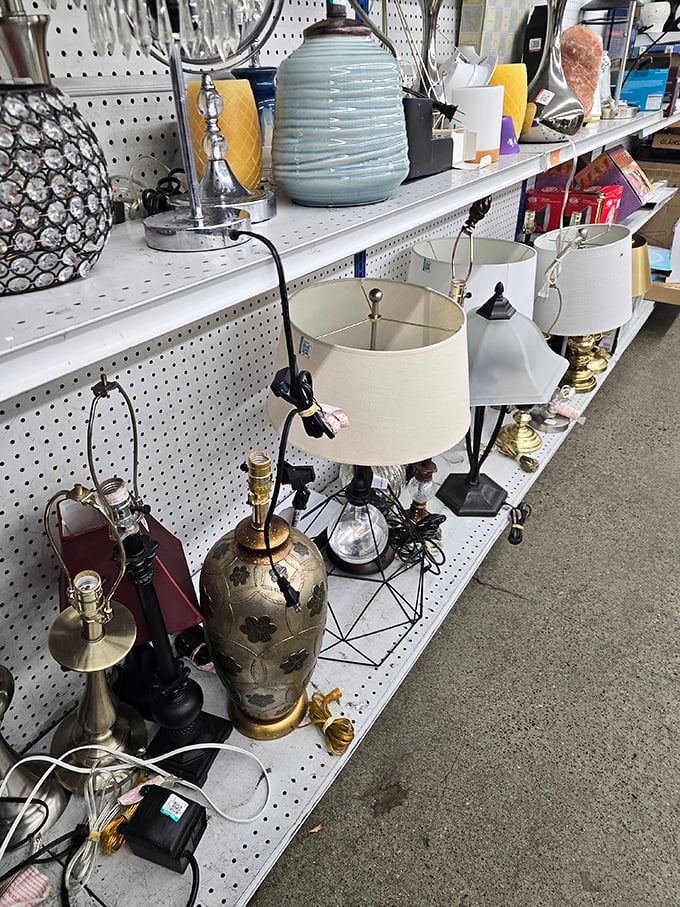 The lamp section glows with potential. That perfect mid-century modern piece or brass beauty is waiting to light up your living room for less than a fancy dinner.