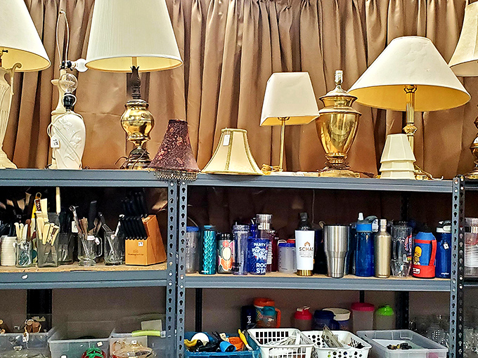 A lampshade army stands at attention, ready to cast warm light on your bedside reading or illuminate family dinners.