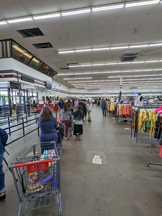 The checkout line becomes an impromptu show-and-tell, where strangers admire each other's discoveries in the universal language of "great find!"