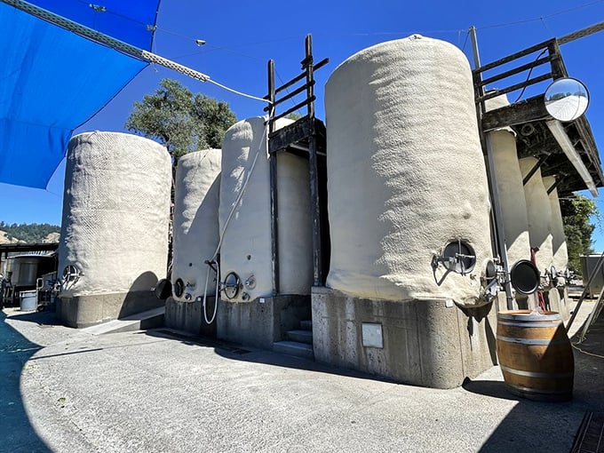 Fermentation tanks standing tall like modern sculptures &ndash; industrial equipment transformed into art when the end result is this delicious.
