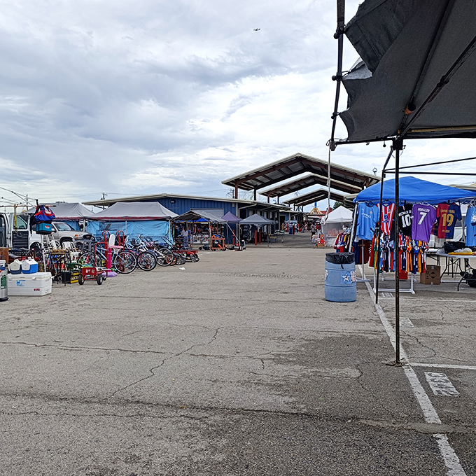 On cloudy days, the market's energy remains undimmed as shoppers navigate the vast expanse of potential treasures waiting to be discovered.
