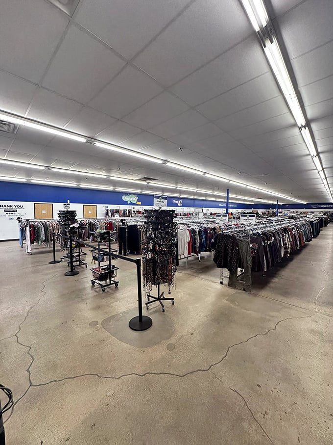 The vastness of the sales floor could intimidate novice thrifters. Veterans know to come with time, patience, and an open mind.
