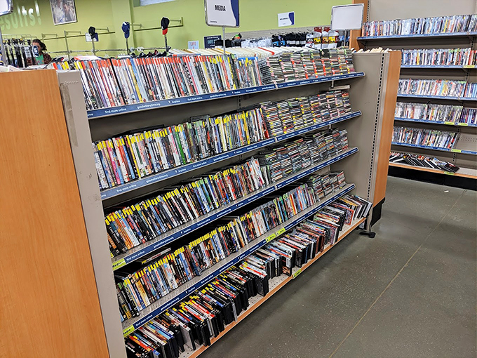 DVD shelves packed with cinematic history&mdash;where else can you find Oscar winners and guilty pleasures sharing the same real estate?