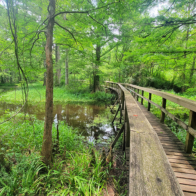Where the wild things are... and where you can learn about them without getting too close. Nature's classroom awaits.