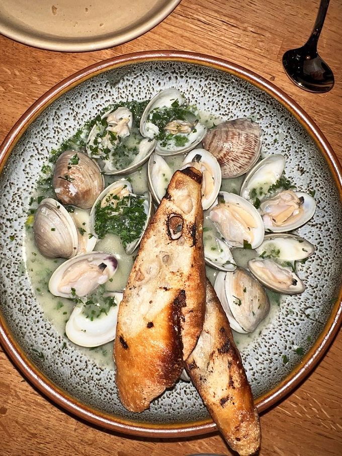 Littleneck clams swimming in herb-infused broth with crusty bread for dipping – nature's perfect soup and sandwich combo, deconstructed.
