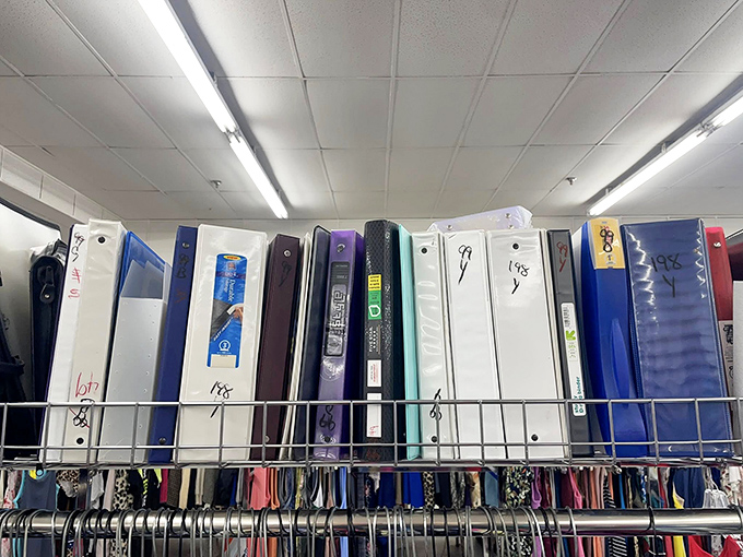 Office supply heaven or vintage tech museum? Either way, these binders and folders are ready for their organizational comeback tour.