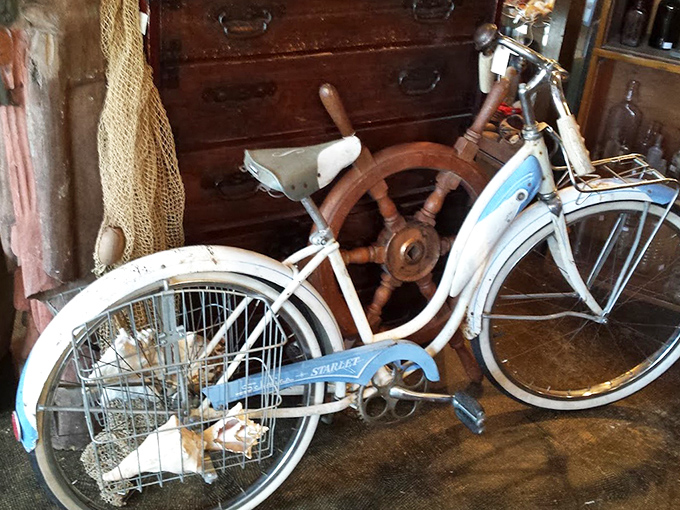 A vintage bicycle meets nautical decor in this charming maritime-themed display that practically begs for a nostalgic summer story.