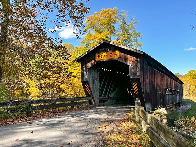 The early autumn light plays across the wooden exterior like nature's own Instagram filter. No app required for this authentic beauty.
