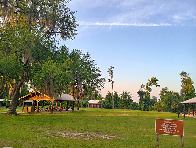 Where Spanish moss meets open sky. This gathering area welcomes families with shaded pavilions perfect for picnics and celebrations.