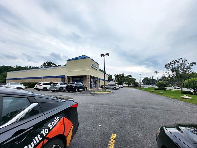 On cloudy days, the Goodwill parking lot fills with savvy shoppers who know that retail therapy is most effective when it doesn't empty your wallet.