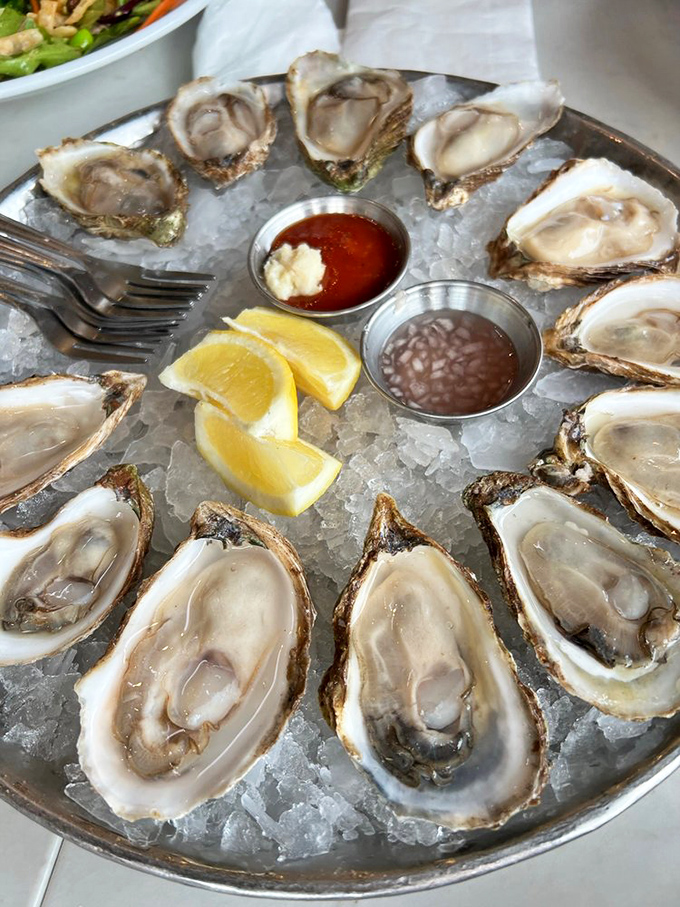 A dozen oysters arranged like nature's perfect clock, with mignonette and cocktail sauce standing by for their supporting roles.