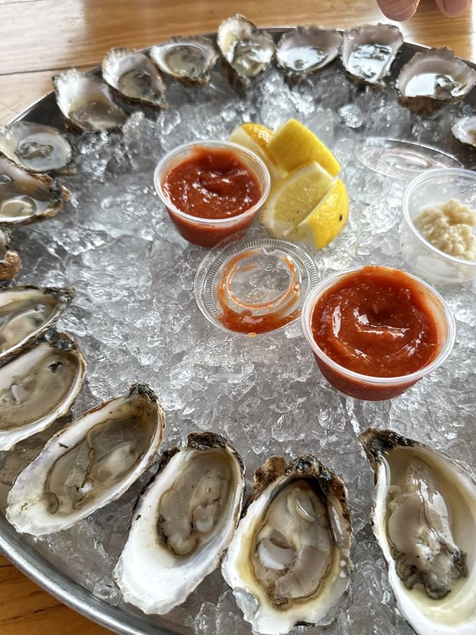 Oysters arranged like a clock face of oceanic delight. Each one a perfect, briny moment suspended in time.
