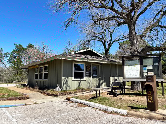 Park headquarters&mdash;where rangers have been answering the question "Seen any bears lately?" with patient smiles for generations.