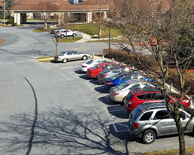 A parking area with actual spaces available&mdash;already worth the price of admission in today's overcrowded world.