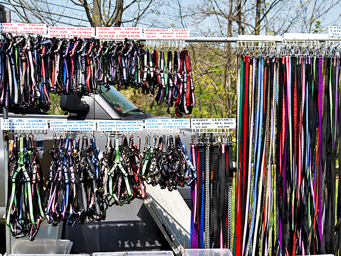 A rainbow of leashes for every four-legged family member. From teacup poodles to gentle giants, every dog deserves a stylish connection to their human.