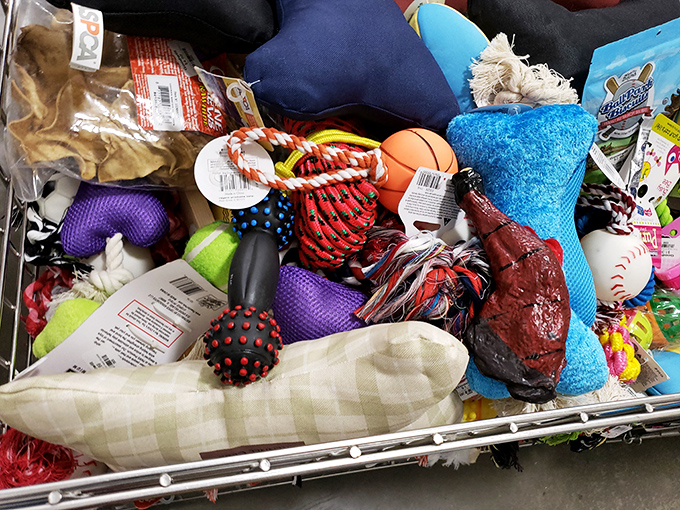Pet toy paradise! From plush squeakers to rope tugs, proof that our four-legged friends deserve secondhand treasures too.