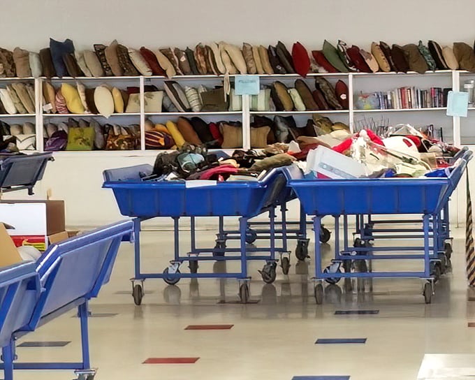 The pillow section offers cushioned dreams by the dozen. Like a cloud factory had a garage sale, these soft treasures await new couches to call home.