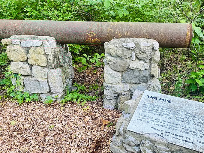 This historic pipe relic tells tales of Radnor's reservoir past&mdash;industrial archaeology meets woodland charm in an unlikely friendship.