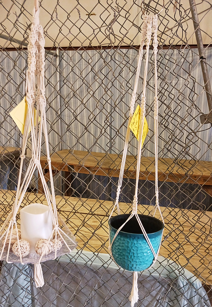 Macram&eacute; plant hangers swing gently in the breeze, bringing 1970s bohemian charm into the 2020s. Houseplants never looked so stylishly suspended!