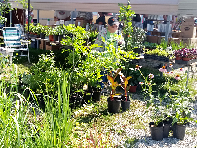 A garden center with personality where your plant addiction gets affordable enablement. These green treasures bring life to homes across Union.