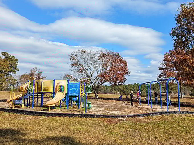 The playground where kids burn off energy while parents silently calculate how early bedtime can reasonably happen after all this fresh air.