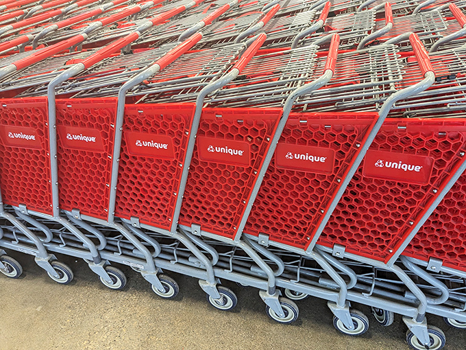 The shopping carts line up like eager steeds, ready to carry your thrifting conquests through this bargain-hunting paradise.