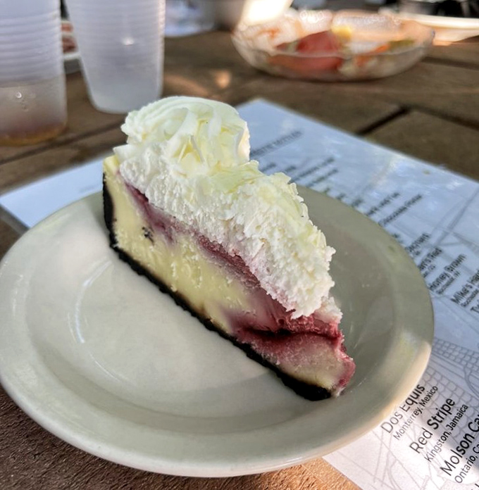 A slice of raspberry cheesecake that strikes the perfect balance between sweet and tart, topped with a cloud of whipped cream.
