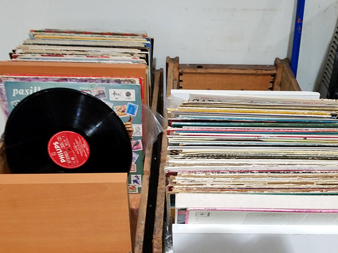 Vinyl records spinning tales of yesteryear, waiting to drop the needle on nostalgia in your living room.